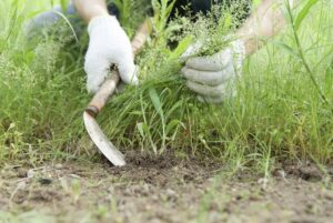 How to Spread Landscape Rock: Your Complete Guide to Installation