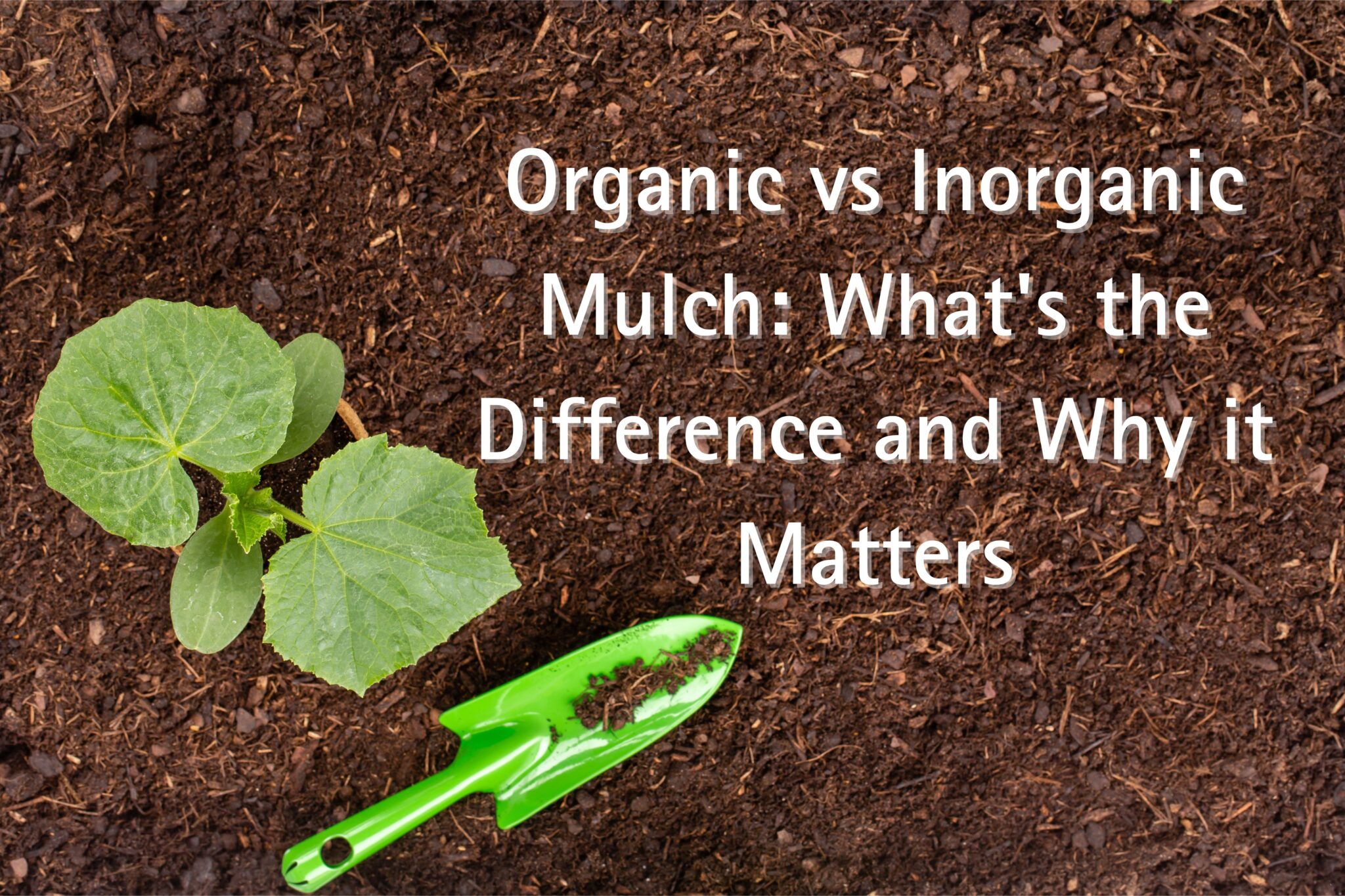 Organic vs Inorganic Mulch: What's the Difference and Why it Matters