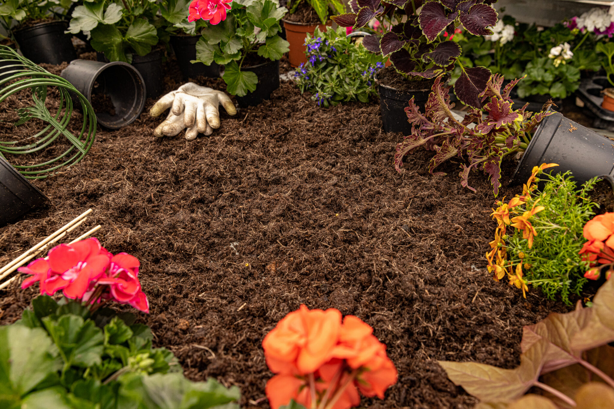 Organic vs Inorganic Mulch: What's the Difference and Why it Matters