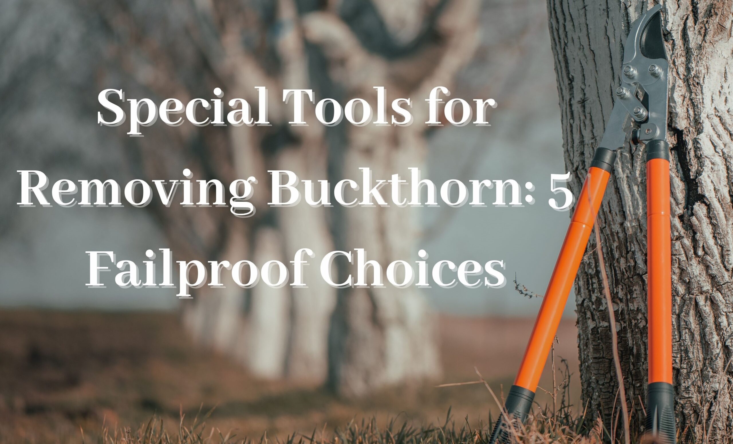 Special Tools for Removing Buckthorn: 5 Failproof Choices