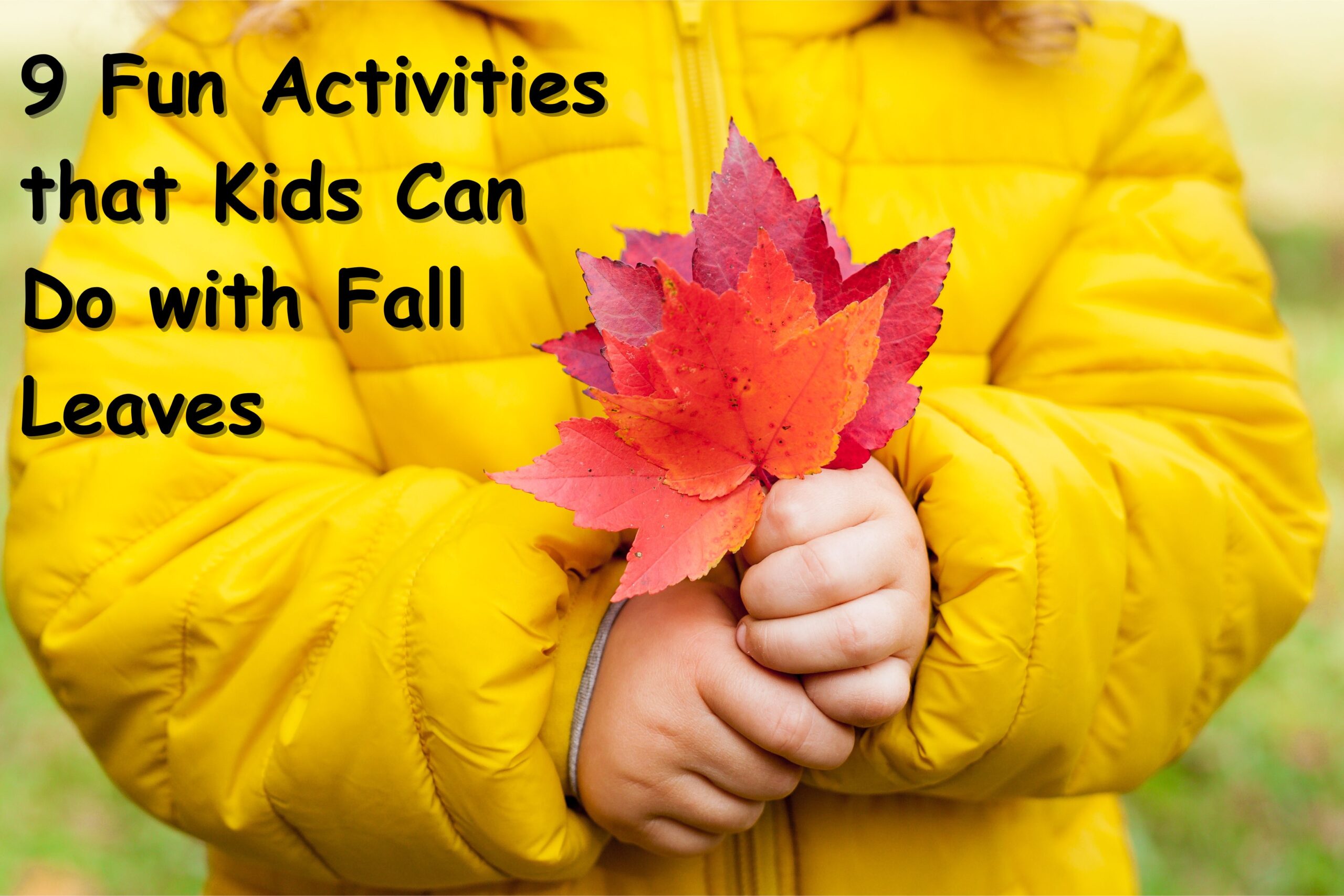 9 Fun Activities that Kids Can Do with Fall Leaves