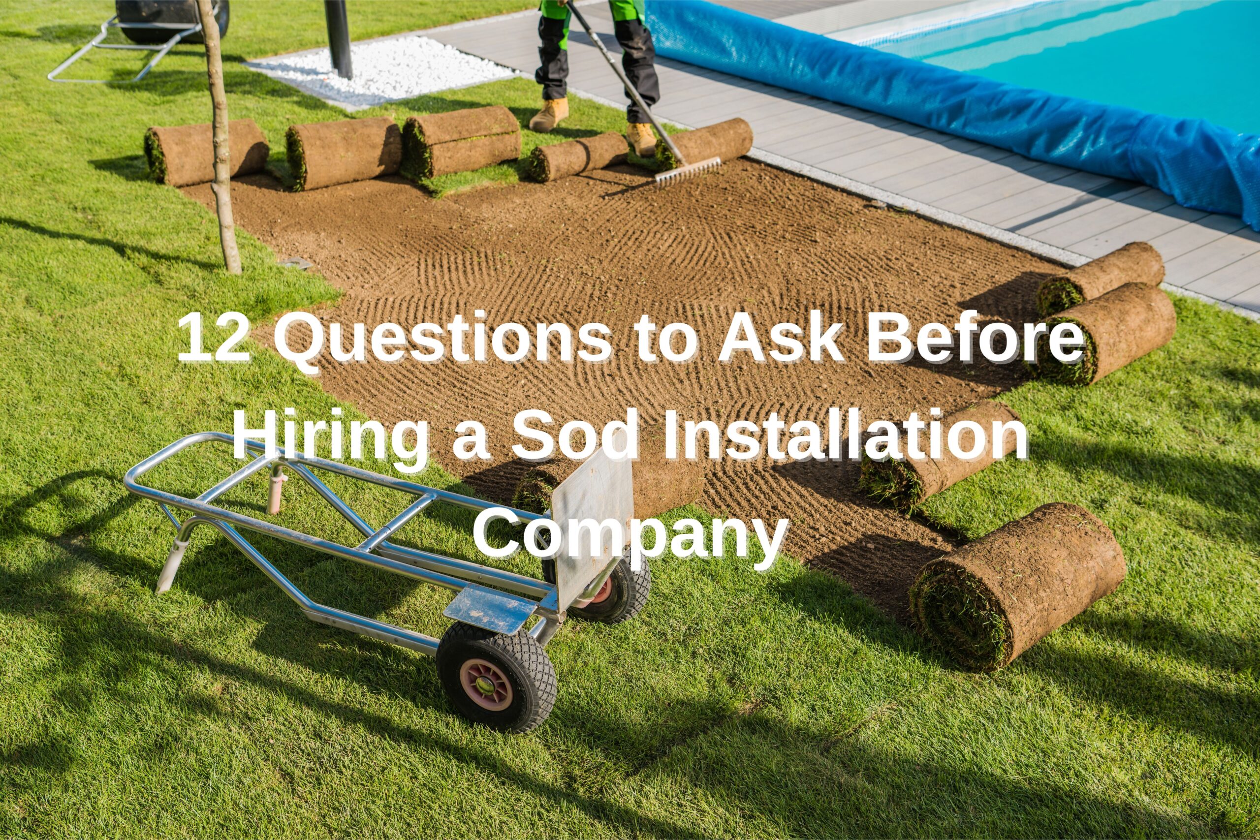 12 Questions to Ask Before Hiring a Sod Installation Company