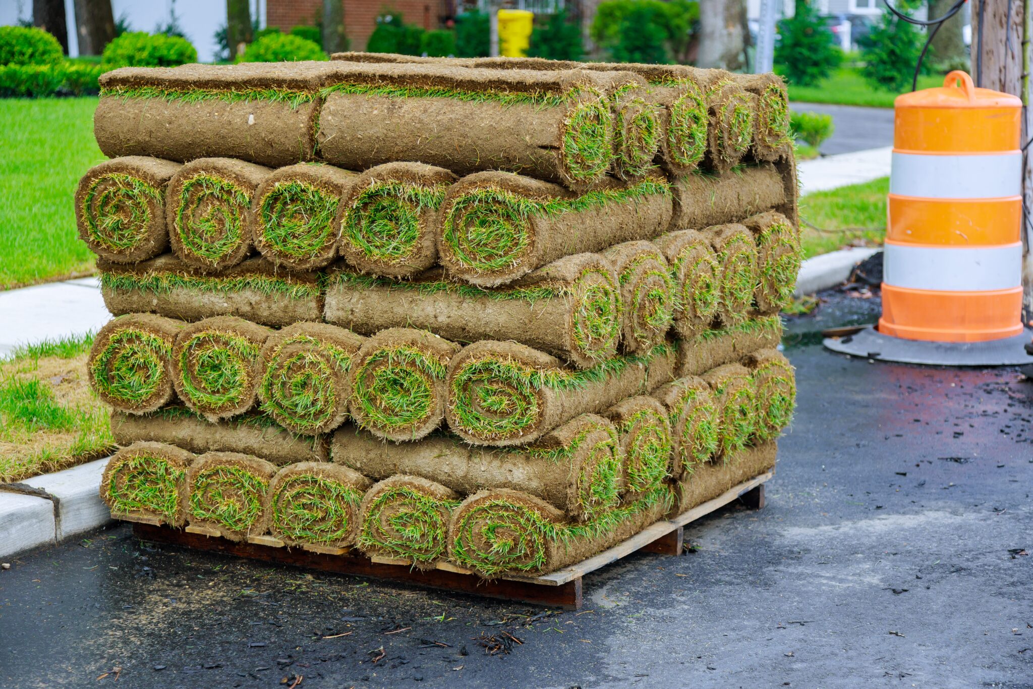 Price Guide for Sod Installation: Average Costs in 2025