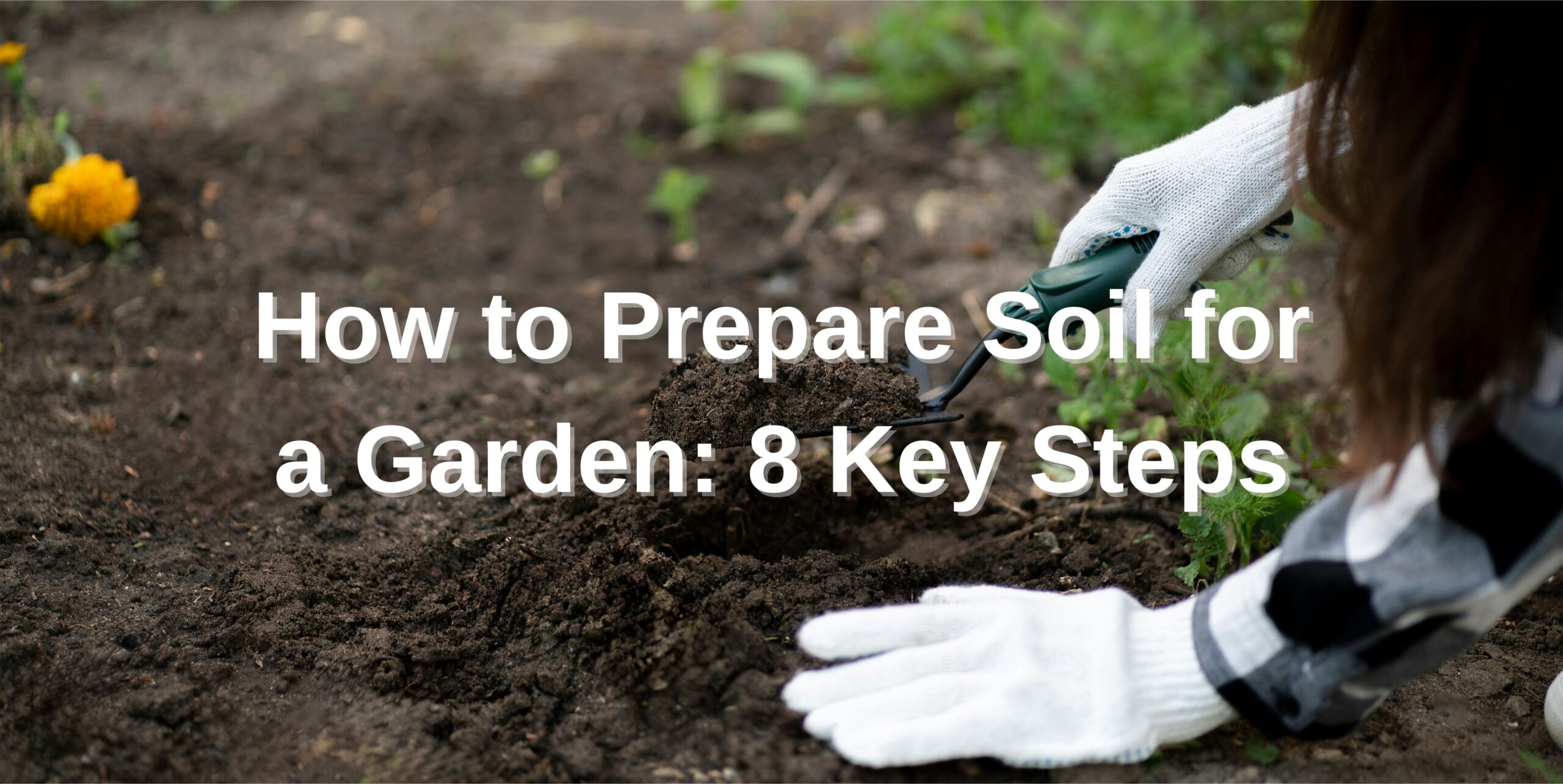 How to Prepare Soil for a Garden: 8 Key Steps – His Workmanship