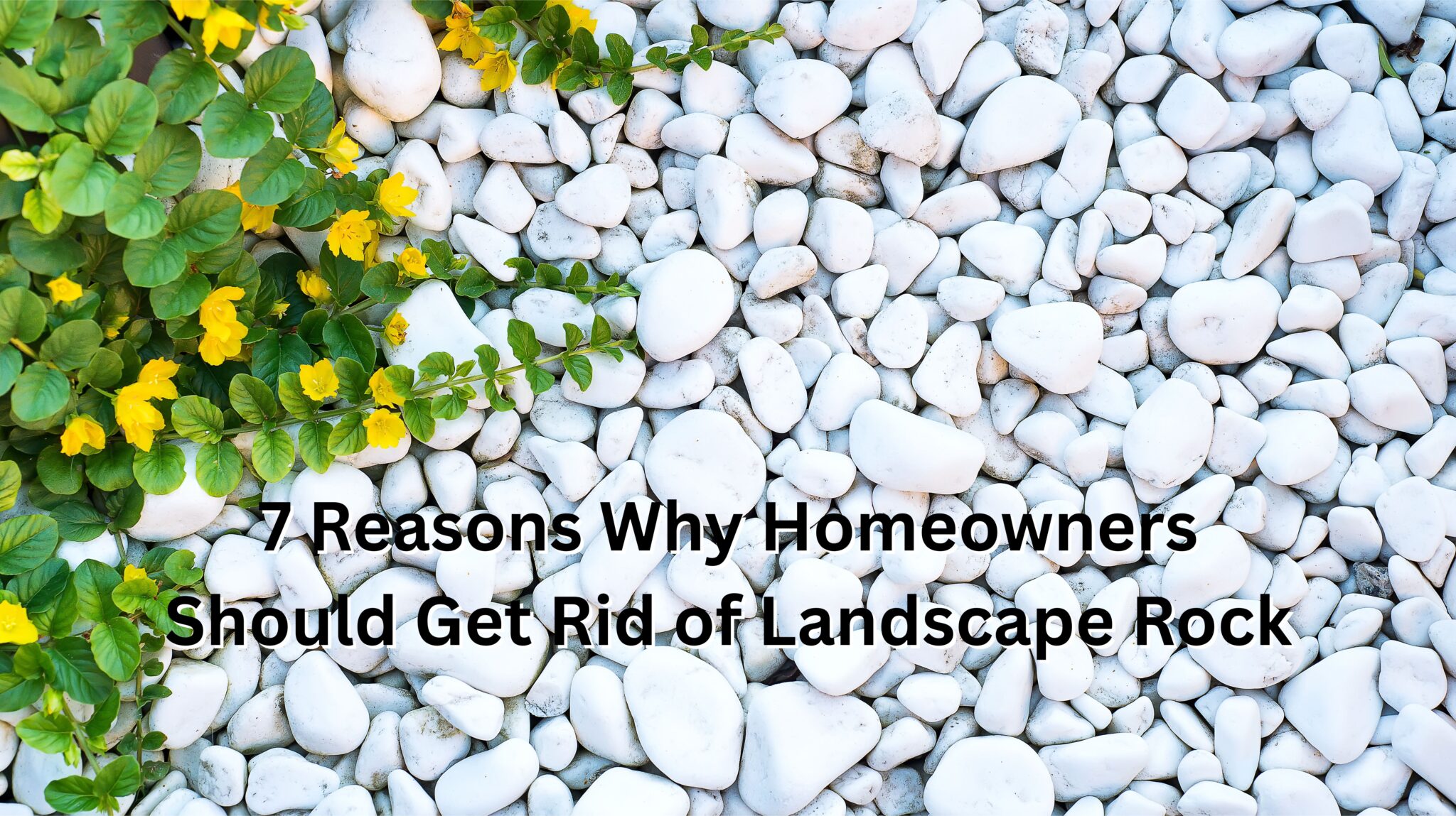 Rock Removal - Burnsville MN - His Workmanship Landscaping